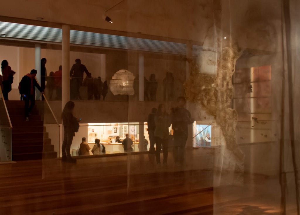 Exposición "Sola Tierra" de Emma Malig en el MAVI - CULTURIZARTE - Toda ...