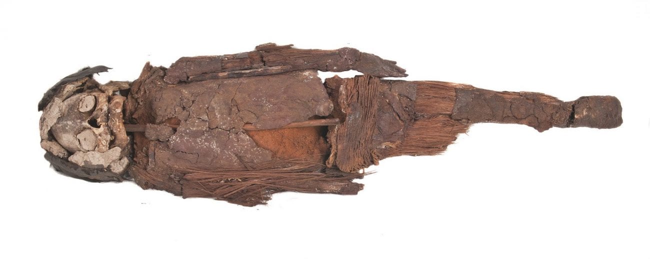 Nueva exposición temporal: La cultura Chinchorro revive en el Museo ...